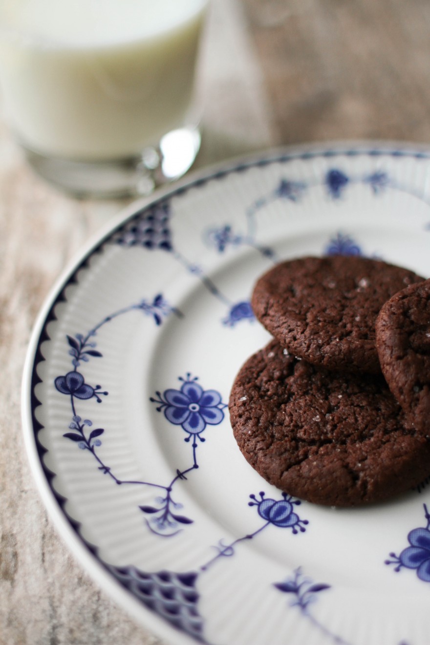Spicy Salty Fudgy Cocoa Cookies - m's belly
